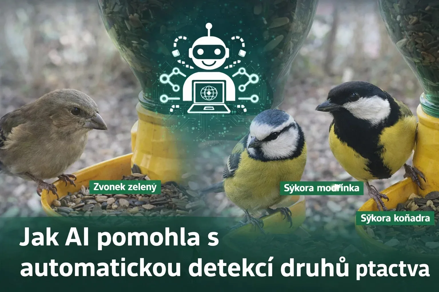 We are learning to use automated image detection with AI. Real ...